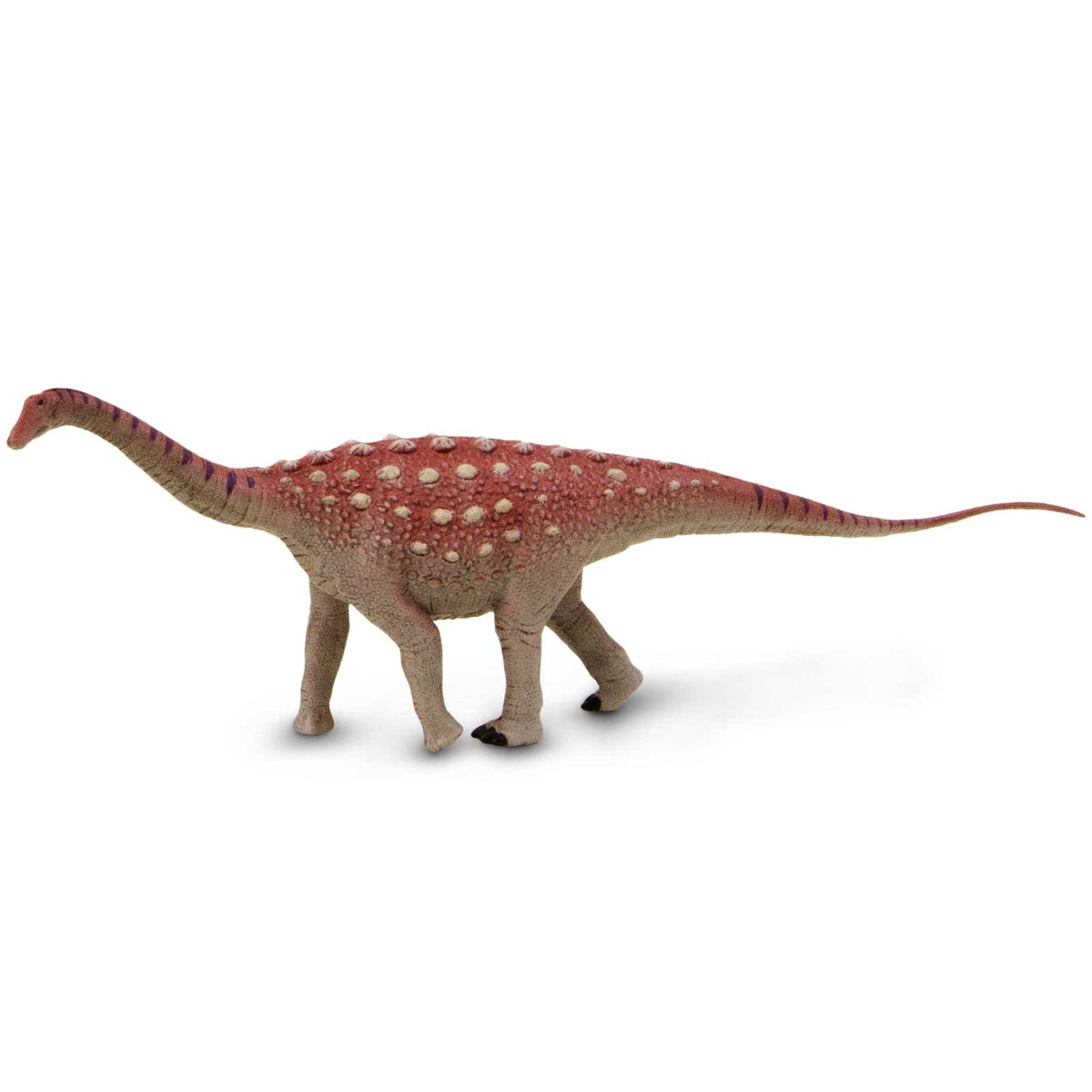 Saltasaurus Toy | Safari Ltd®