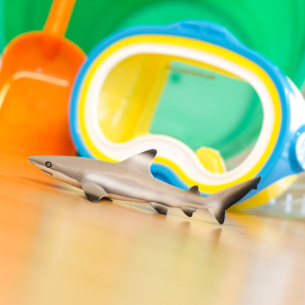 Blacktip Reef Shark Toy | Safari Ltd®