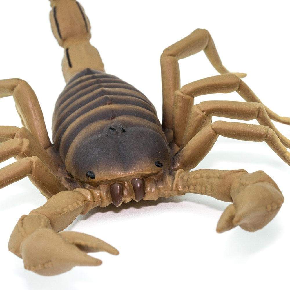 Scorpion Toy | Safari Ltd® | Safari Ltd®