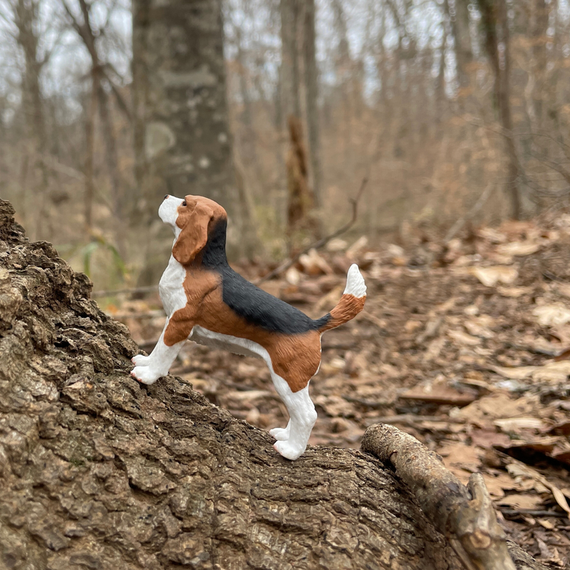 Beagle Figurine, Beagle Toy - Safari Ltd | Safari Ltd®