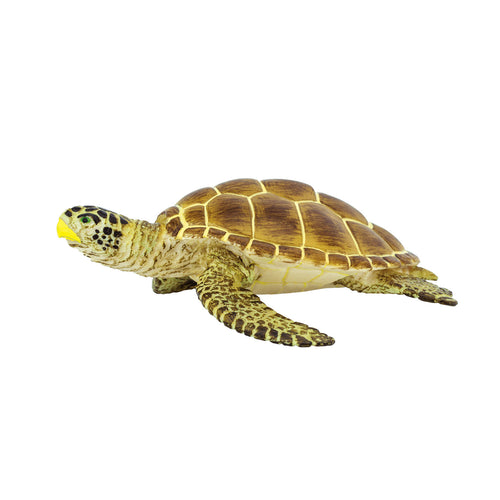 Loggerhead Turtle Toy | Safari Ltd®