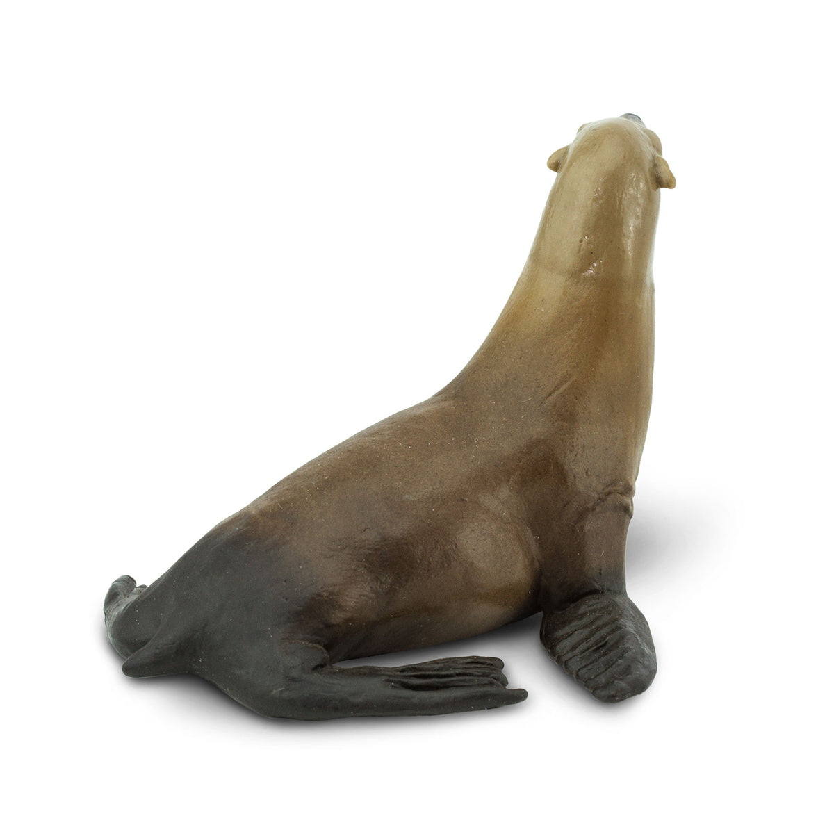 Sea Lion Toy | Safari Ltd®
