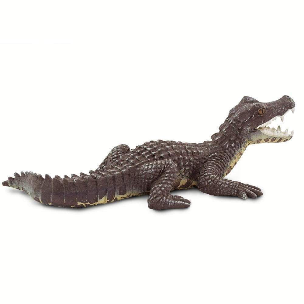 Caiman Figure – Realistic Reptile Toy for Kids, Boys and Girls | Safari ...