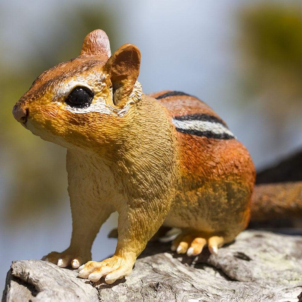 Eastern Chipmunk Mammal Toy | Safari Ltd®