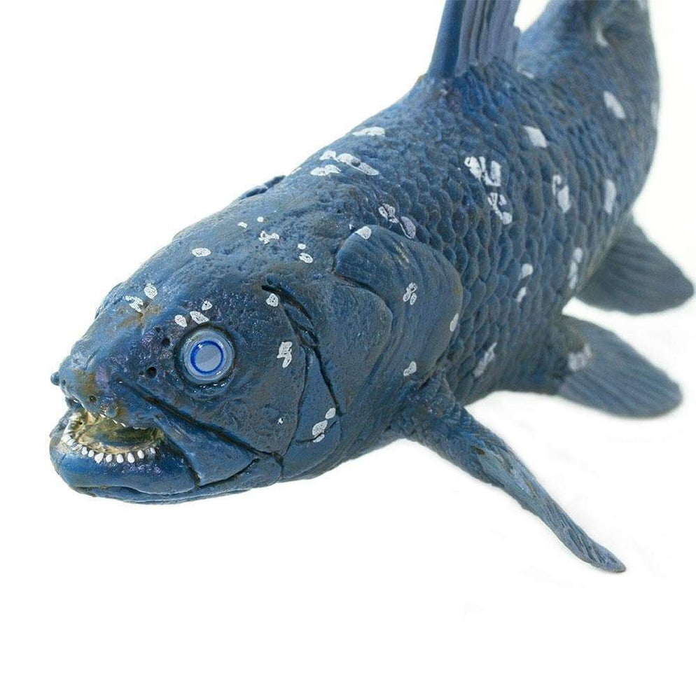 Coelacanth Toy | Dinosaur Toys | Safari Ltd®