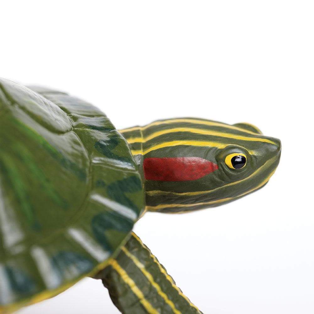 Red Eared Slider Turtle Reptile Toy | Safari Ltd® | Safari Ltd®