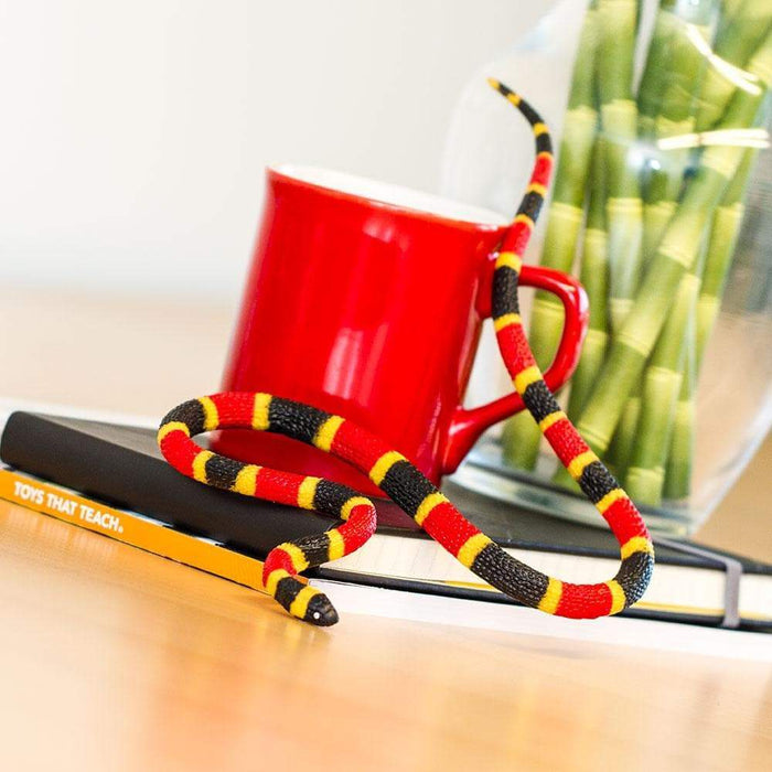 Coral Snake Baby Toy | Safari Ltd®