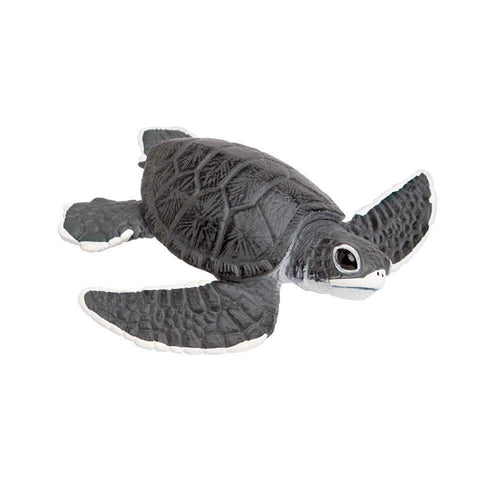 Baby Sea Turtle Figurine – Realistic & Educational | Safari Ltd ...