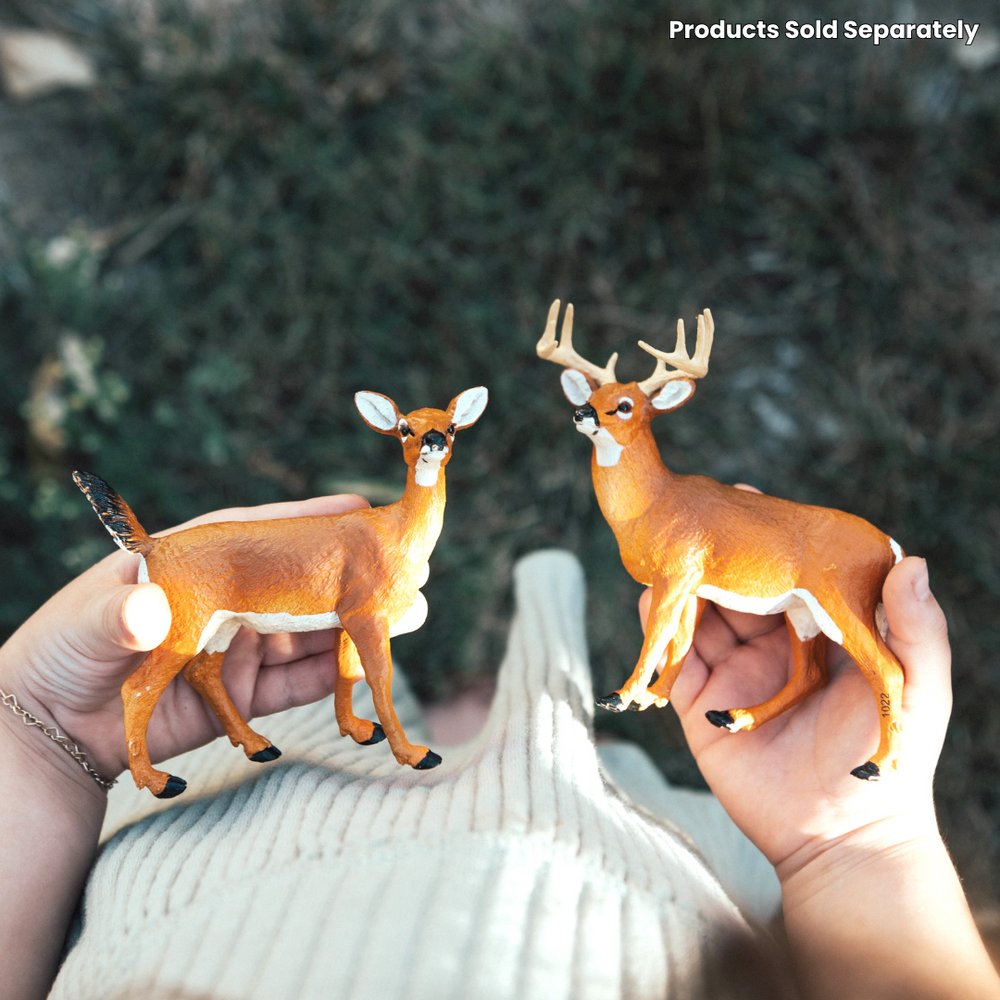 Whitetail Buck Figurine – Realistic Deer Toy | Safari Ltd® | Safari Ltd®