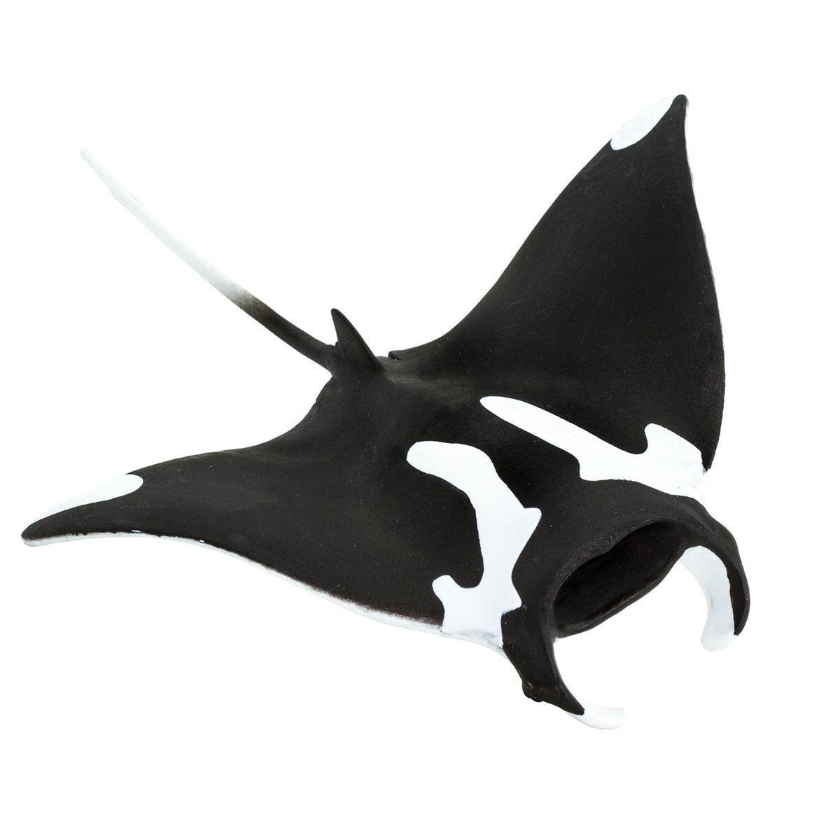 Manta Ray Toy | Safari Ltd®