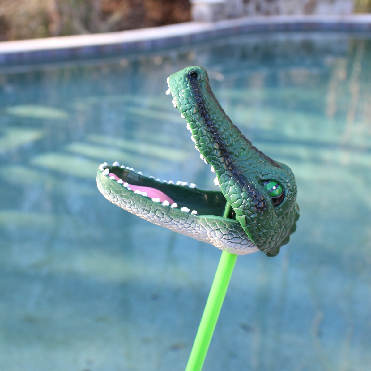 Alligator Snapper Toy | Safari Ltd®