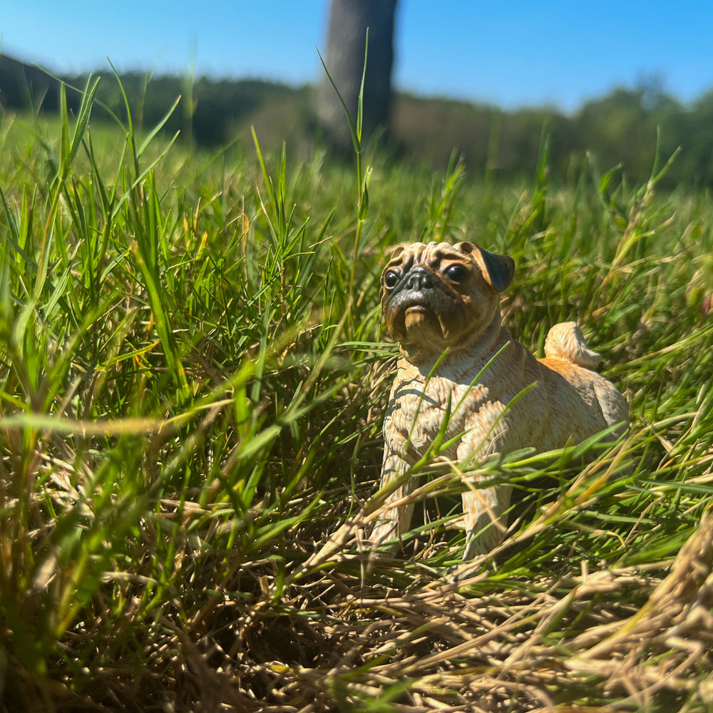 Pug Toy Dog Figure | Safari Ltd®