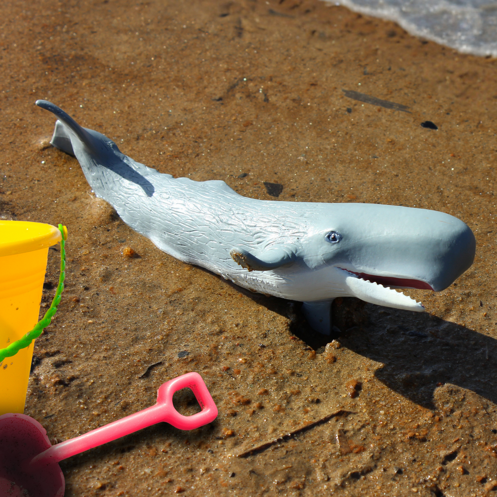 Sperm Whale Figure – Realistic Ocean Animal Toy for Kids, Boys and ...