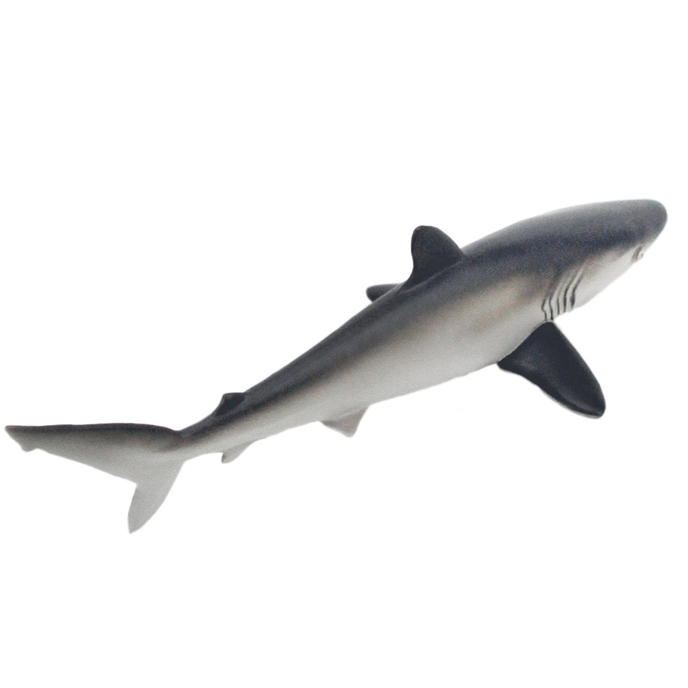 Silky Shark Toy Figure | Safari Ltd®