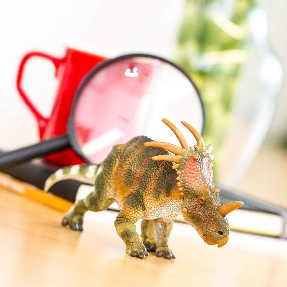 Styracosaurus Dinosaur Toy Figure | Safari Ltd® | Safari Ltd®