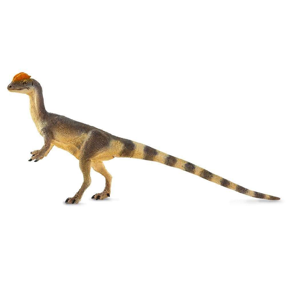 Dilophosaurus Toy | Dinosaur Toys | Safari Ltd. | Safari Ltd®