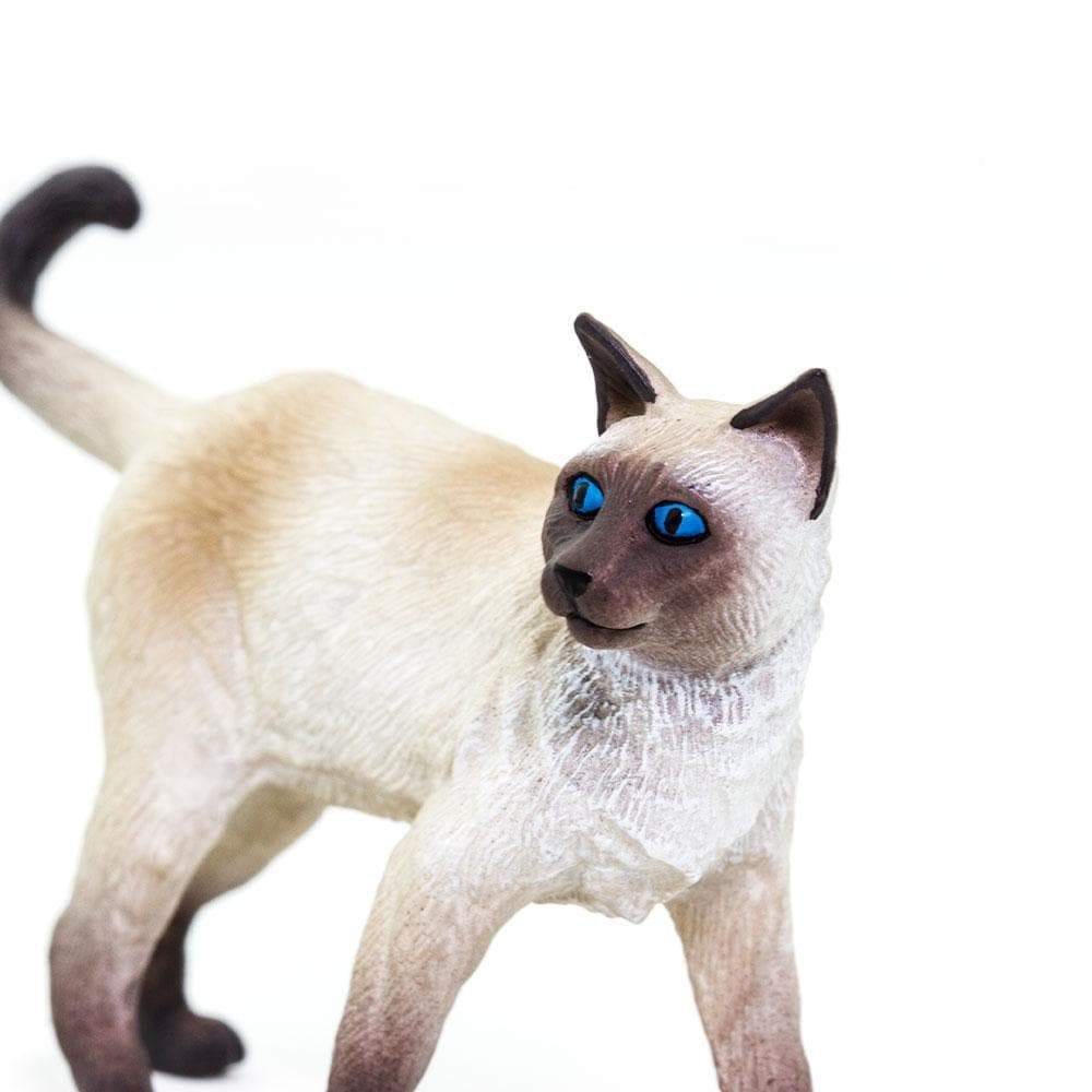 Siamese Toy | Safari Ltd®
