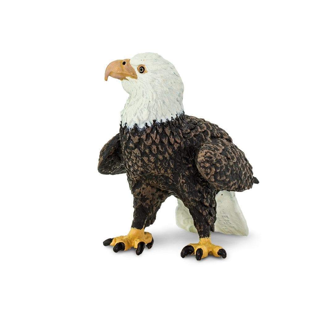Bald Eagle Toy | Wildlife Animal Toys | Safari Ltd. | Safari Ltd®