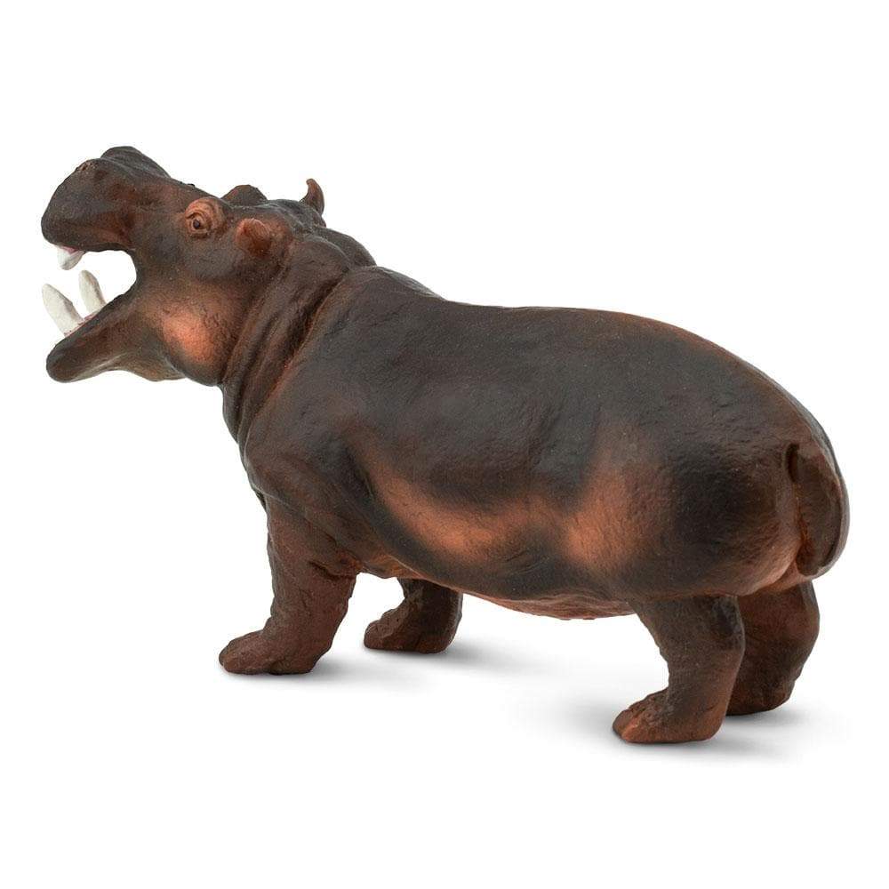 Hippopotamus Figure – Realistic Animal Toy for Kids, Boys and Girls ...