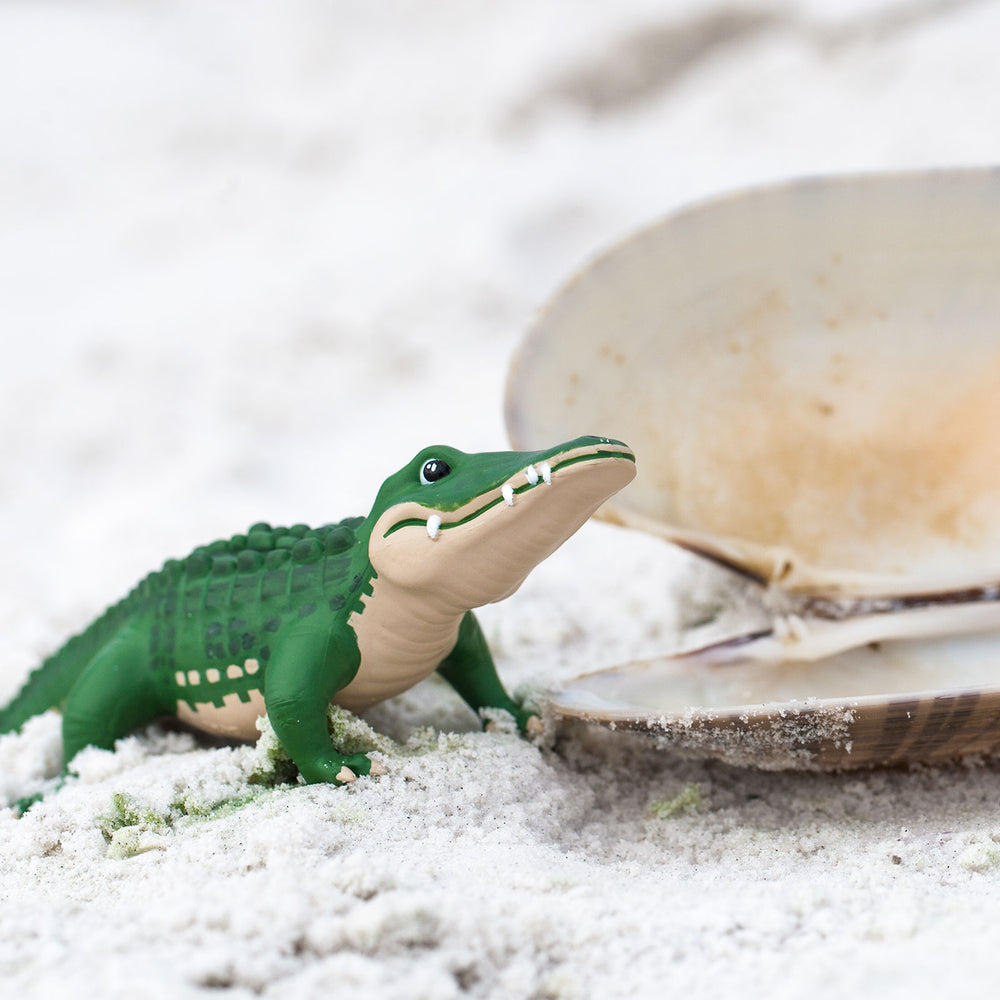 Bernie Toy | Wildlife Animal Toys | Safari Ltd®