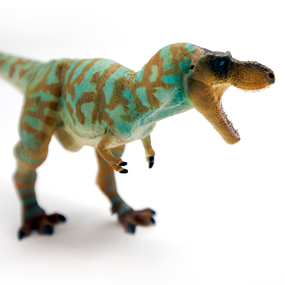 Albertosaurus Toy Dinosaur | Safari Ltd® Prehistoric Figure | Safari Ltd®