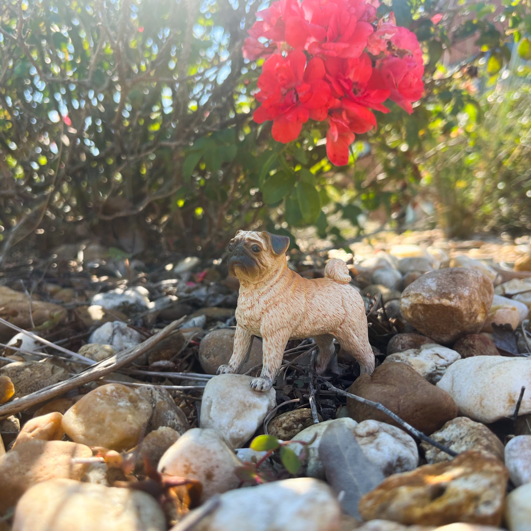 Pug Toy Dog Figure | Safari Ltd®