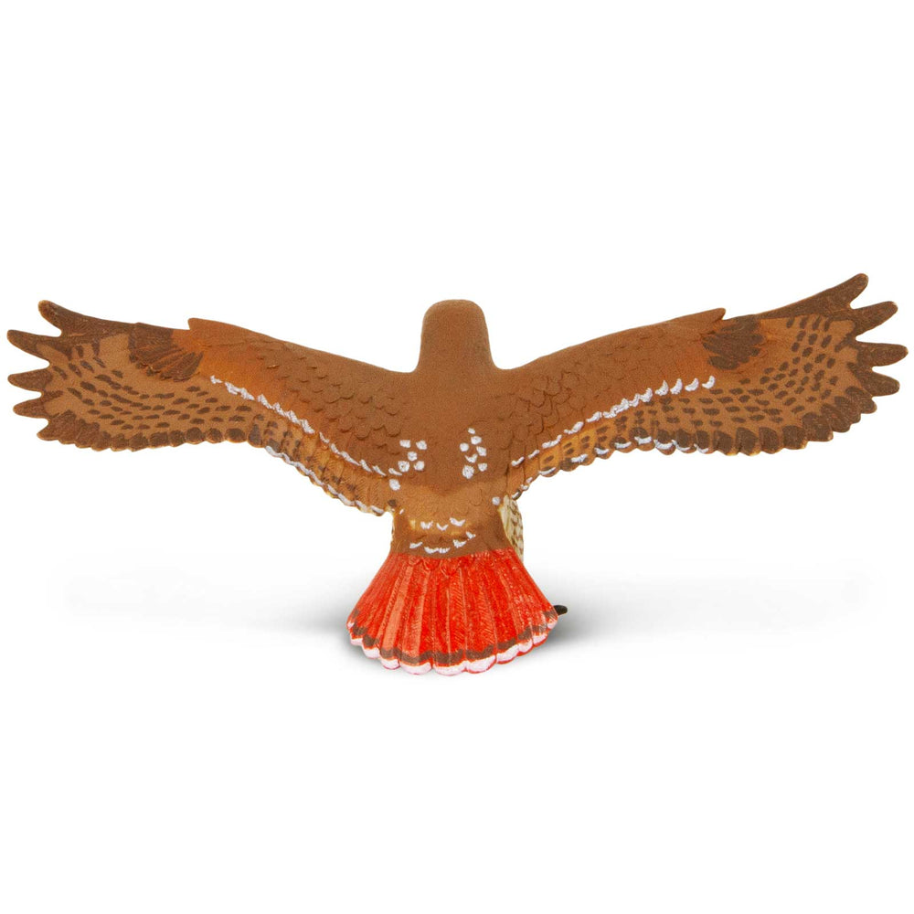Red-Tailed Hawk Toy – Realistic Bird of Prey | Safari Ltd® | Safari Ltd®