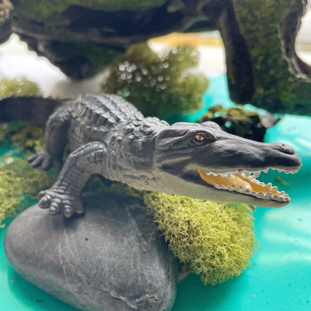 Crocodile Figure – Realistic Reptile Toy for Kids, Boys and Girls ...