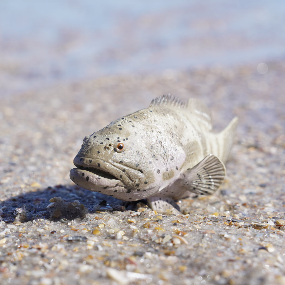 Goliath Grouper Fish Toy | Safari Ltd®