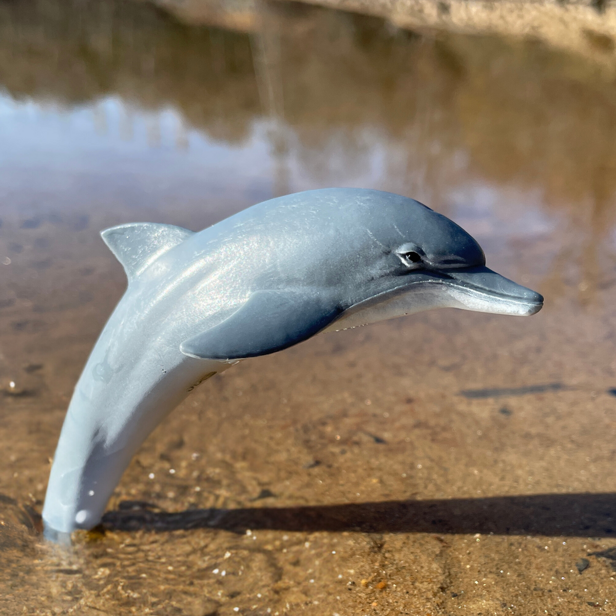 Dolphin Toy Figure – Realistic Plastic Ocean Animal for Kids | Safari Ltd®