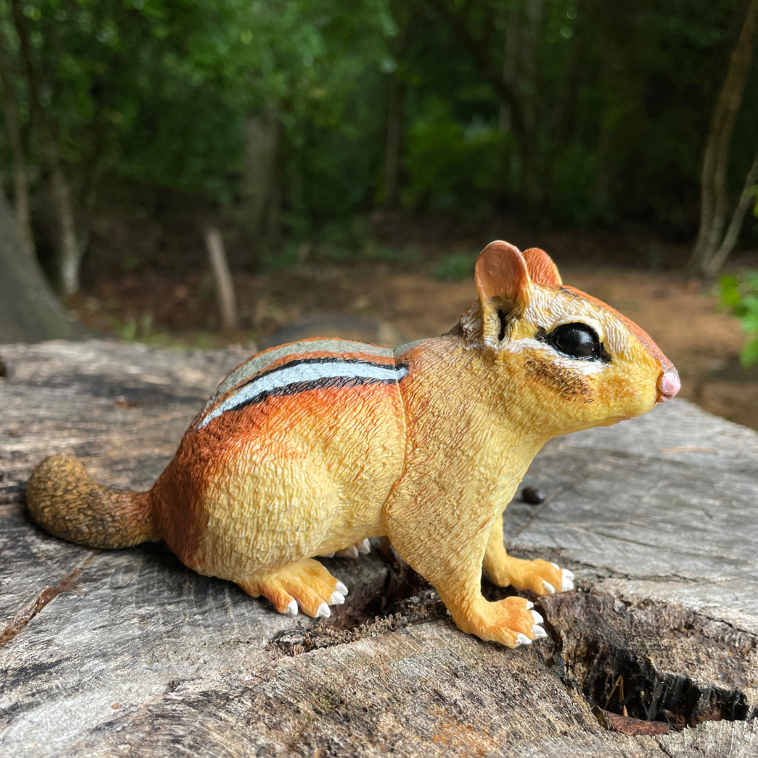 Eastern Chipmunk Mammal Toy | Safari Ltd®