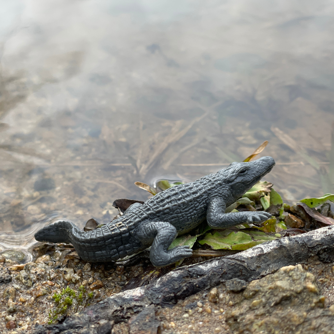 River TOOB® | Safari Ltd®