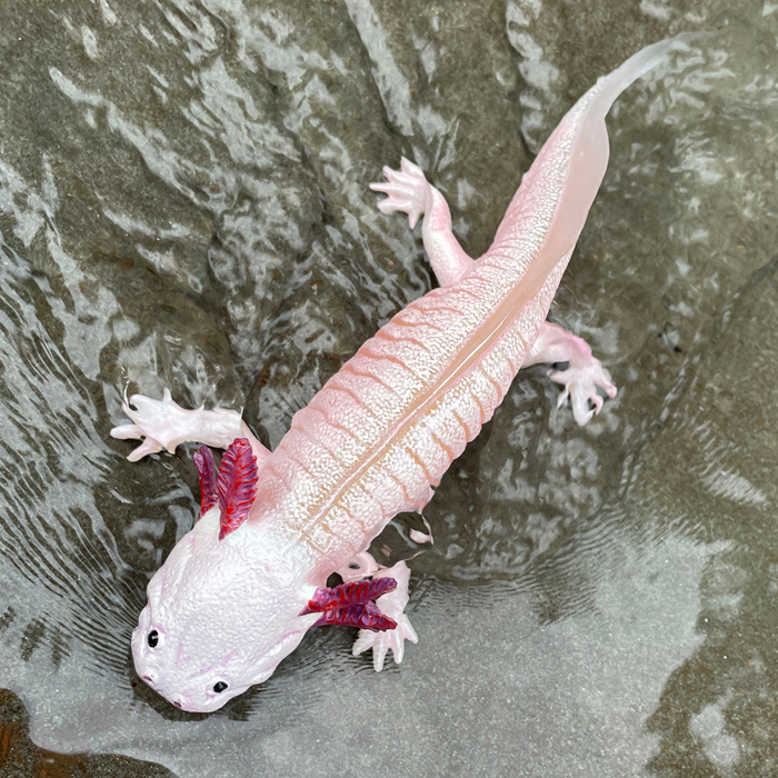 Axolotl Toy Figure | Safari Ltd®