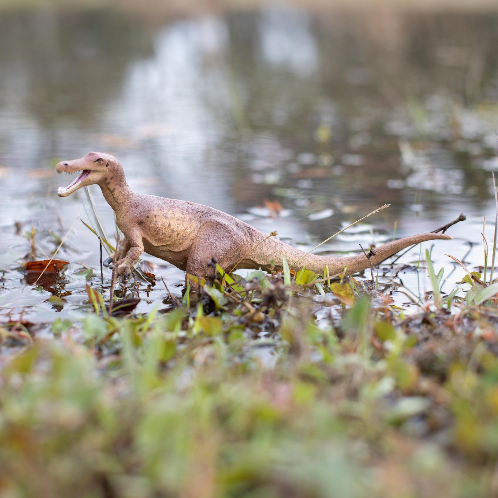 Baryonyx Dinosaur Toy – Realistic Prehistoric Figure | Safari Ltd ...
