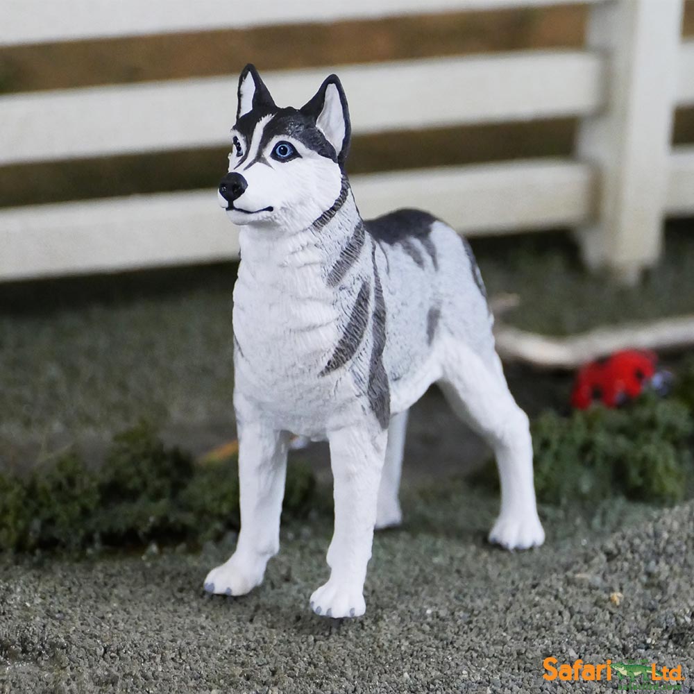 Siberian Husky Figurine | Safari Ltd®