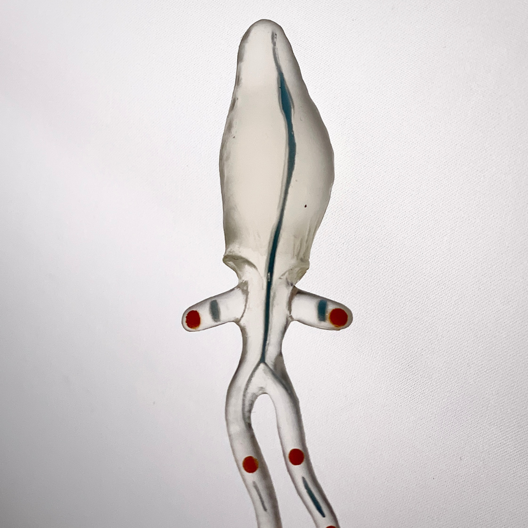 Deep Sea Creature Toys TOOB® | Safari Ltd®