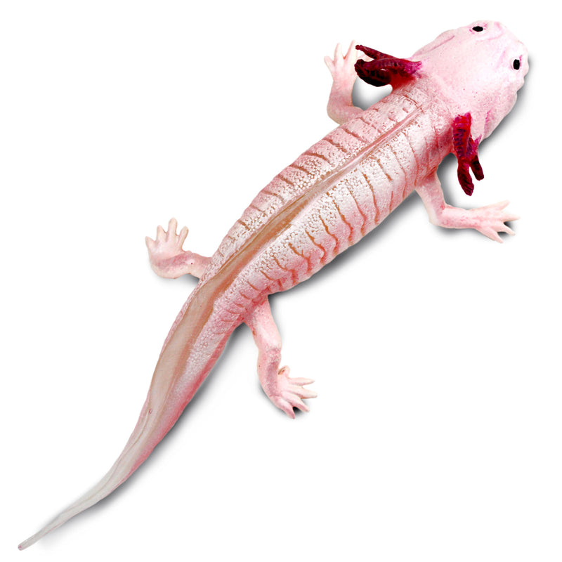 Axolotl Toy Figure | Safari Ltd®
