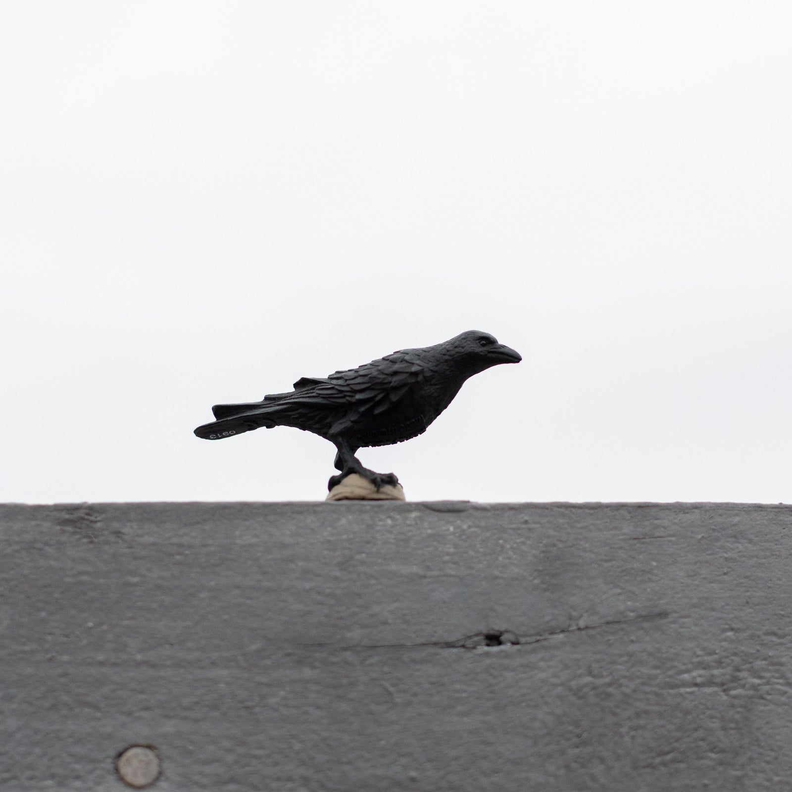 Raven Toy | Safari Ltd®