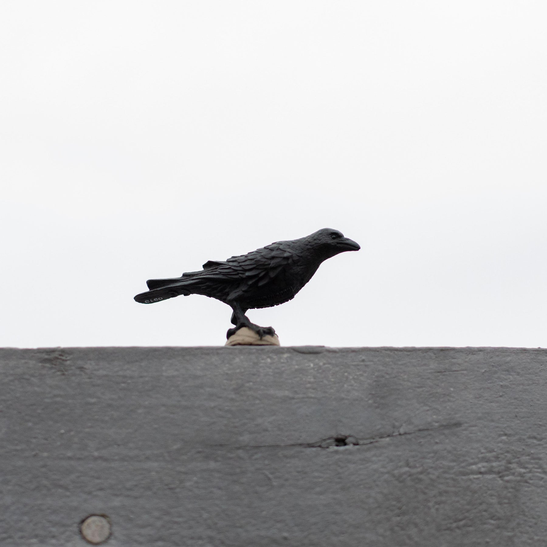 Raven Toy | Safari Ltd®