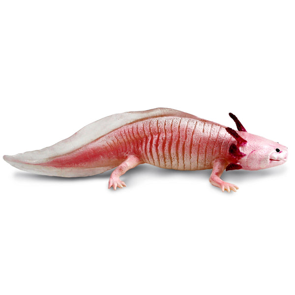 Axolotl Toy Figure | Safari Ltd®