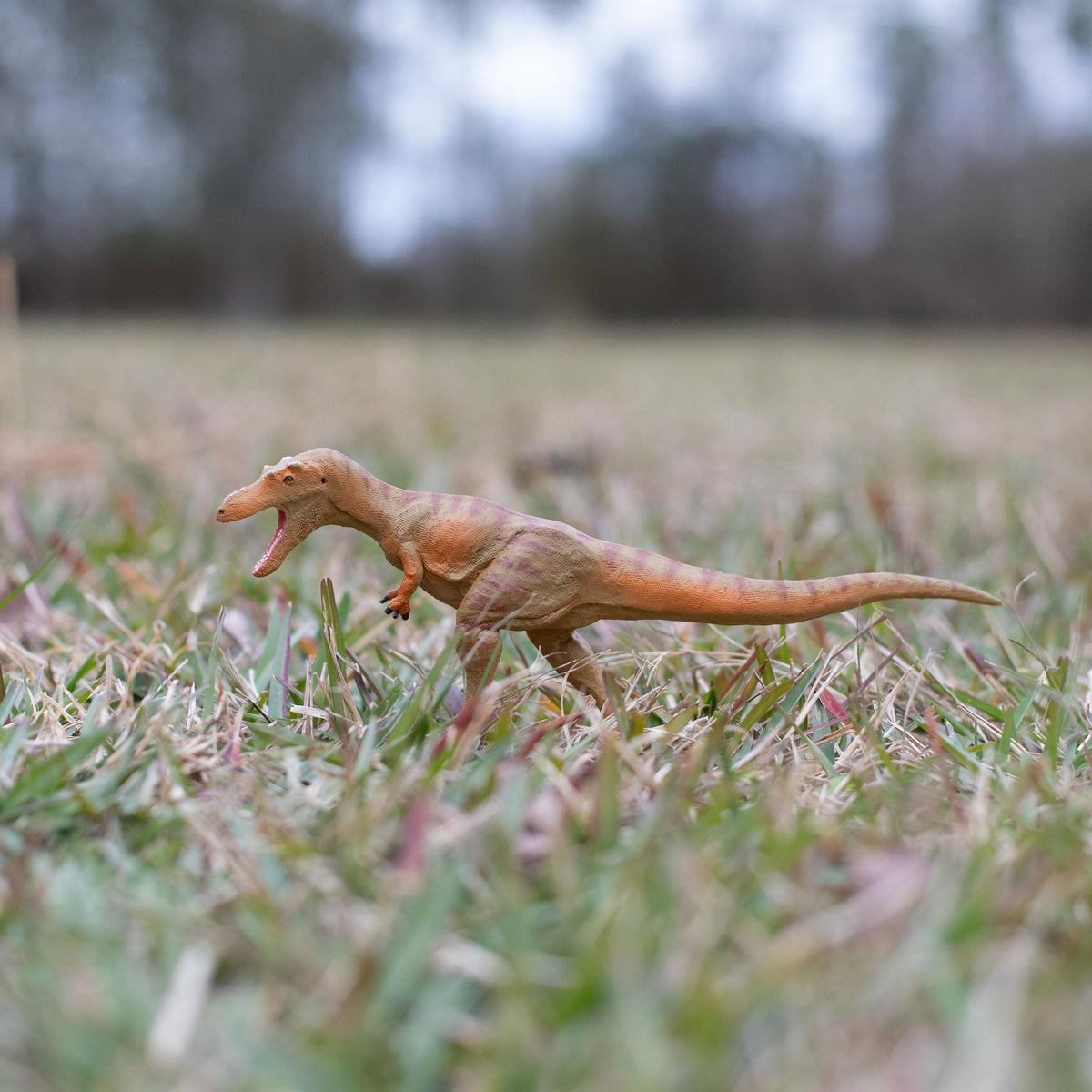 Qianzhousaurus Toy | Dinosaur Toys | Safari Ltd. | Safari Ltd®