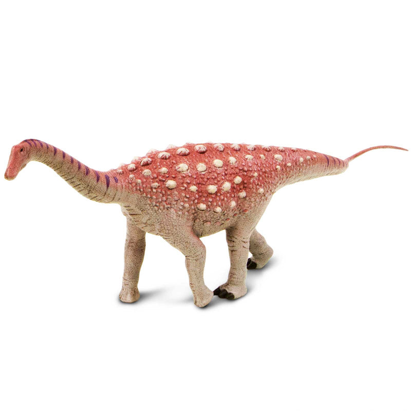 Saltasaurus Dinosaur Toy Figure | Safari Ltd®