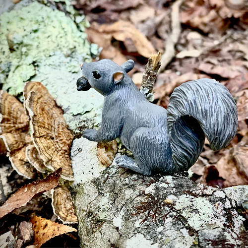 Gray Squirrel Figure – Realistic Animal Toy for Kids, Boys and Girls ...