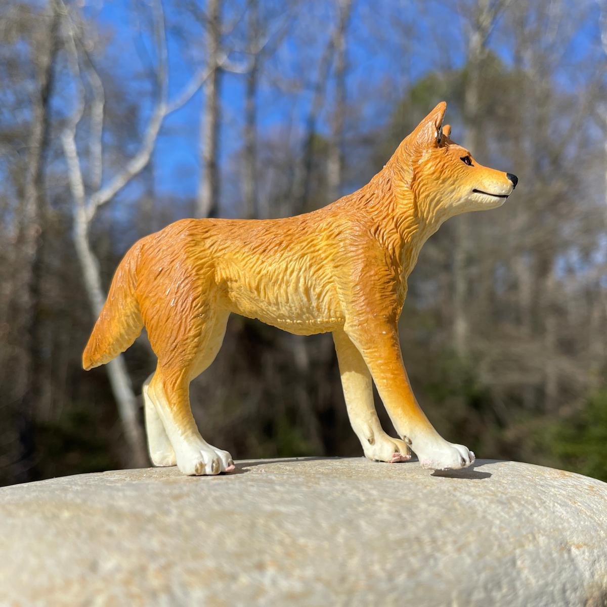 Dingo Toy Figure – Realistic PVC Animal Model for Boys, Girls, & Kids ...