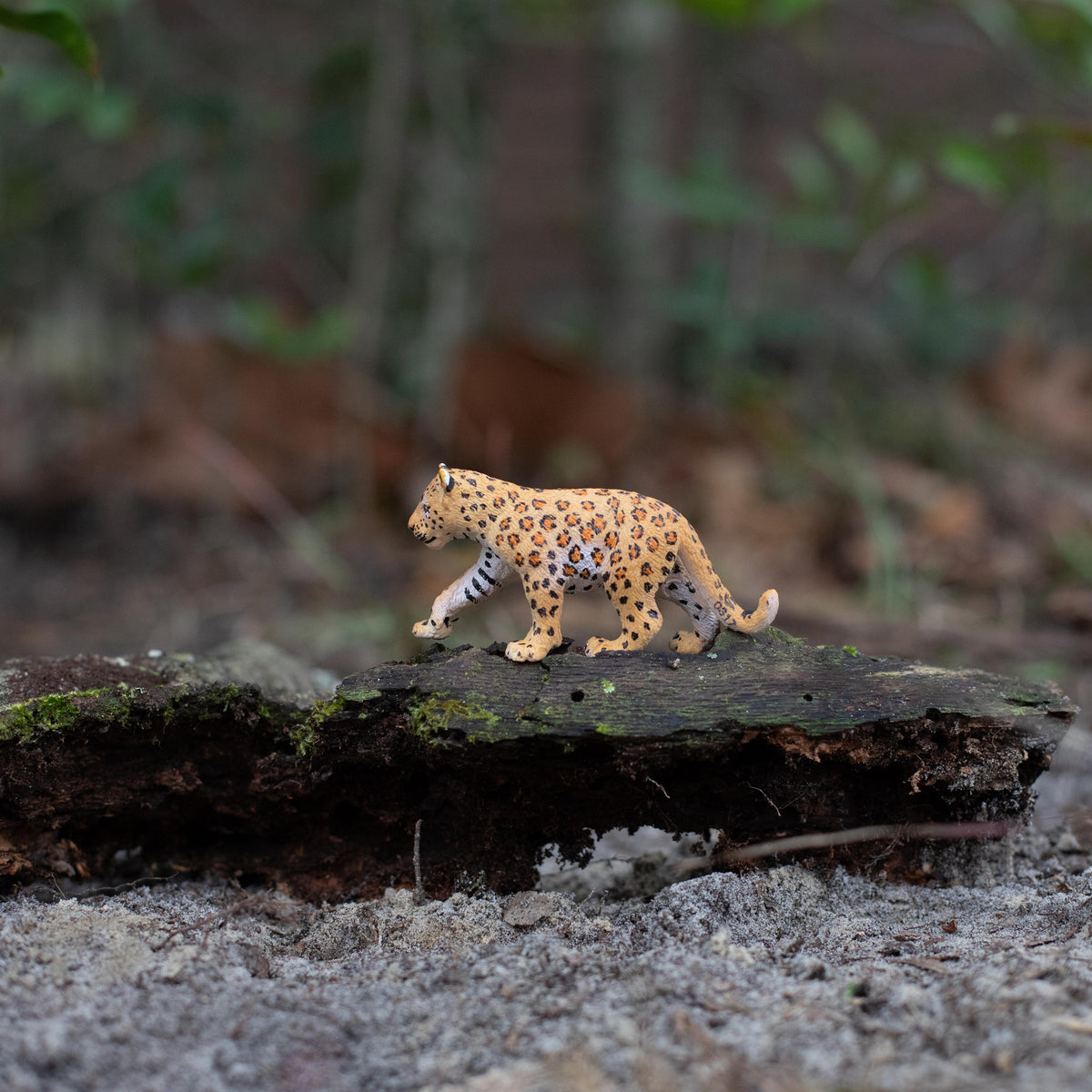Leopard Cub Toy | Wildlife Animal Toys | Safari Ltd. | Safari Ltd®