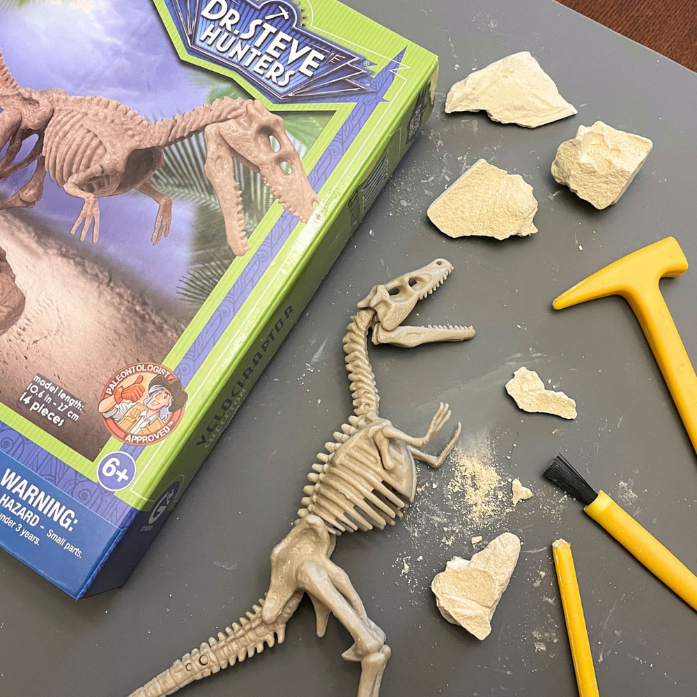 Dr. Steve Hunters GEOWorld Dino Dig Velociraptor Excavation Kit - 14 p ...
