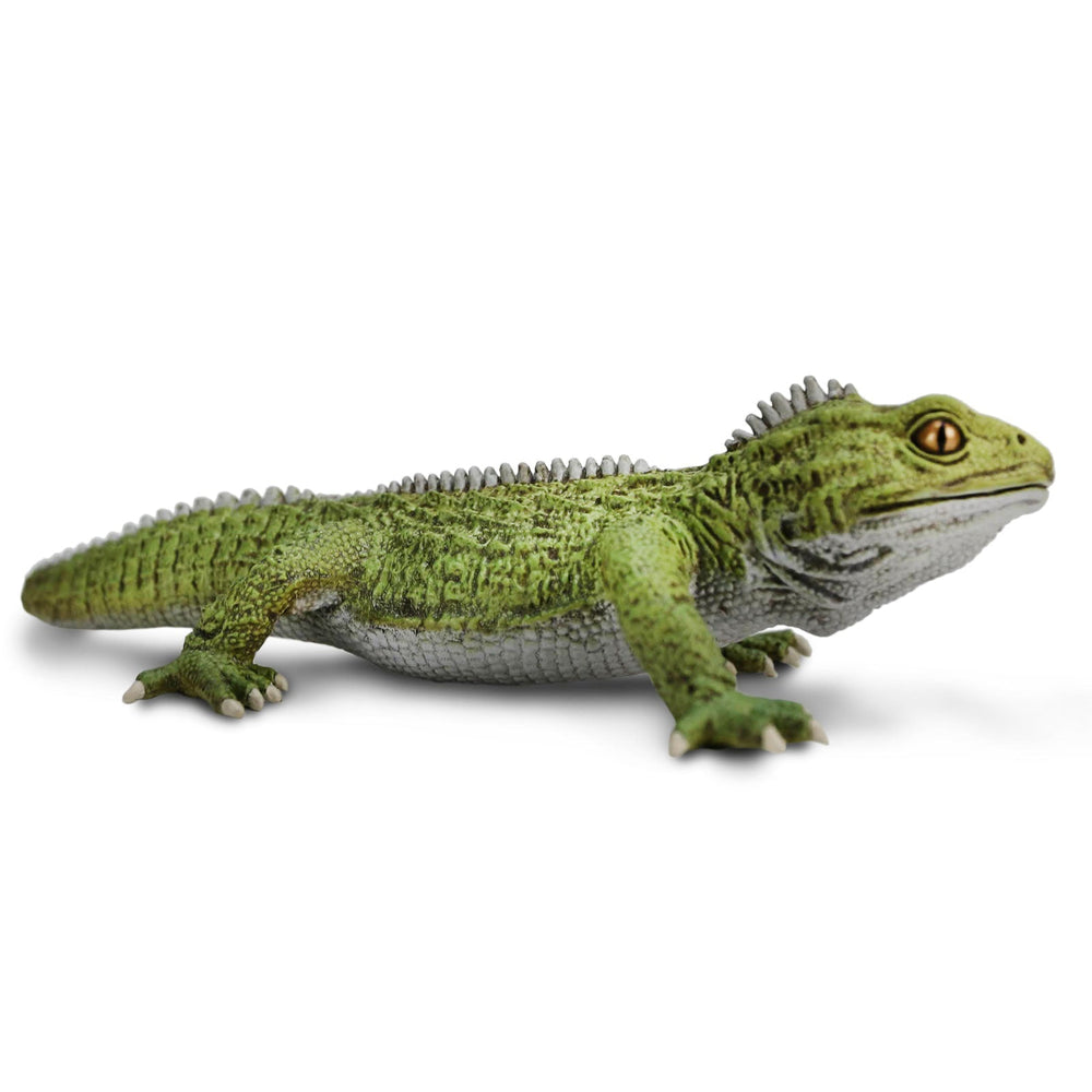 Tuatara Toy Figure | Safari Ltd®