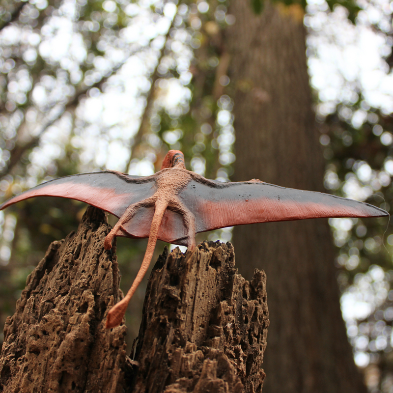 Dimorphodon Toy | Safari Ltd®