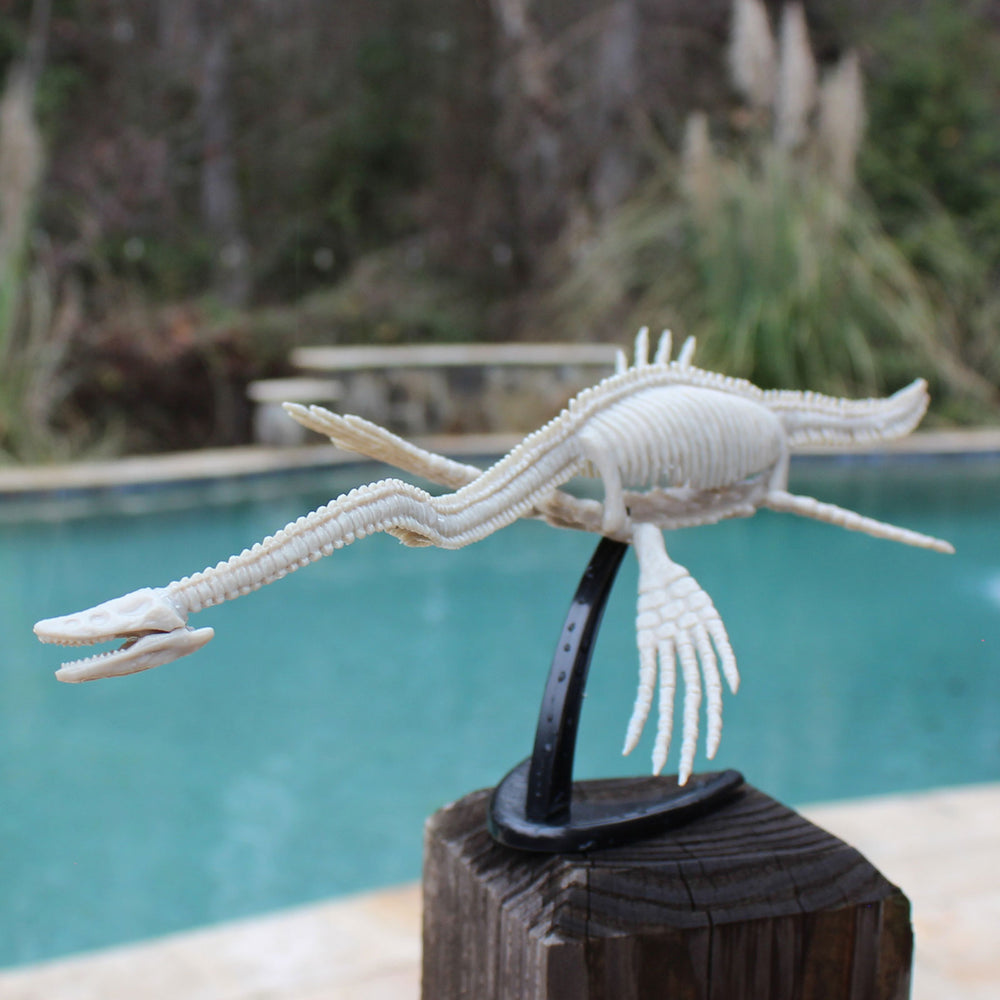 Dr. Steve Hunters GEOWorld Sea Monster Dig Elasmosaurus Excavation Kit ...