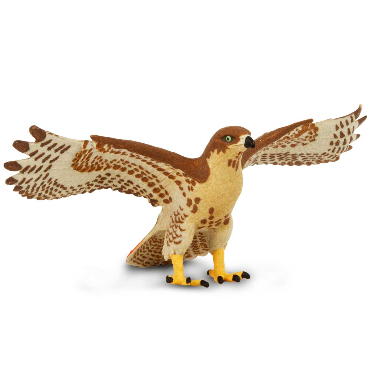 Red-Tailed Hawk Toy – Realistic Bird of Prey | Safari Ltd® | Safari Ltd®